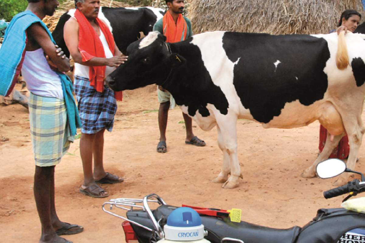 Part-time Farmer Makes A Big Sustainable Move - Heritage Nutrivet Limited